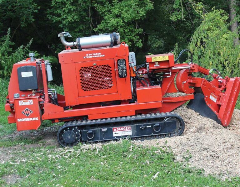 Superior Stump Grinding | Tree Stump Removal | Services